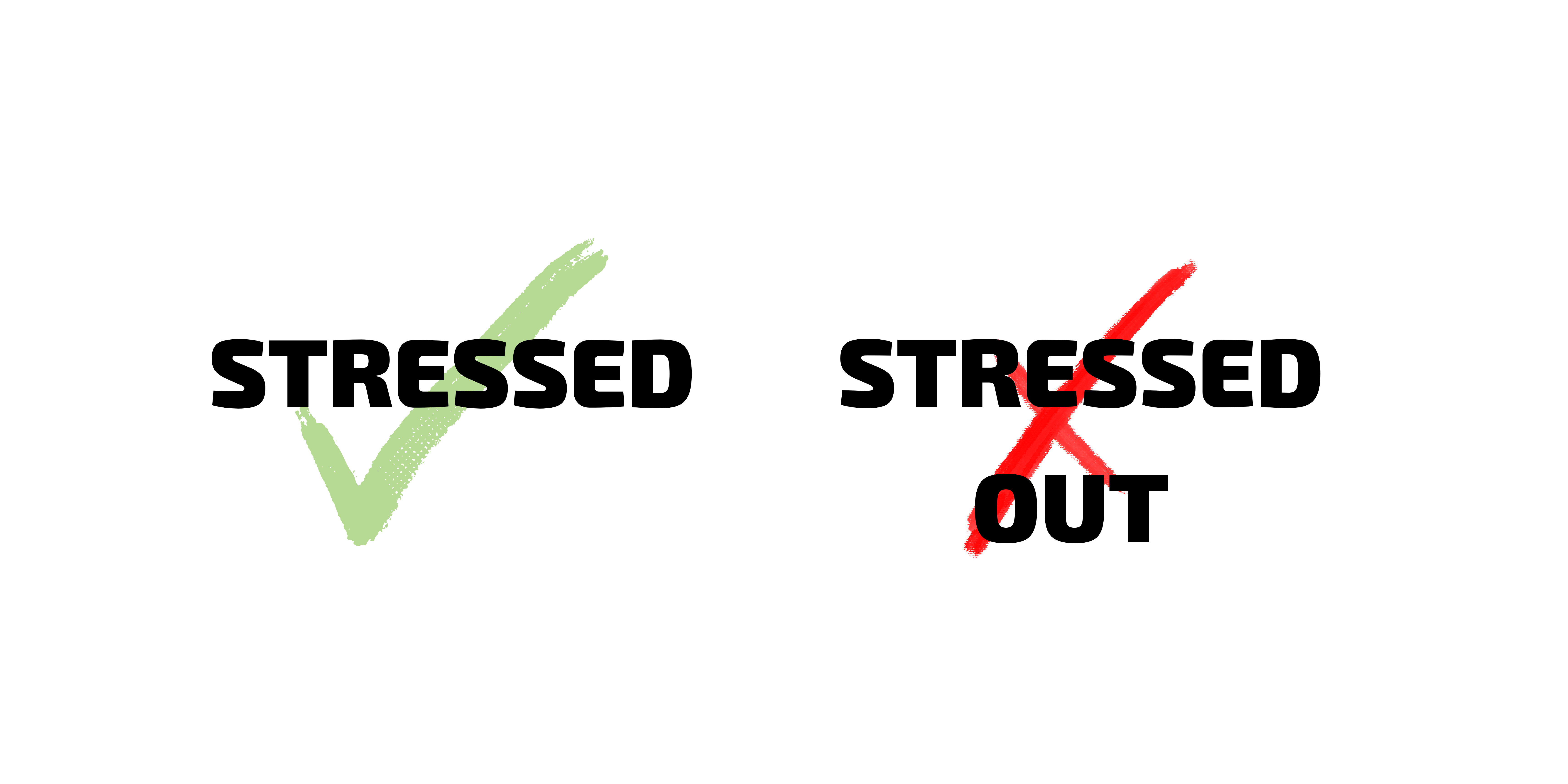 STRESSED of STRESSED OUT - last van stress?